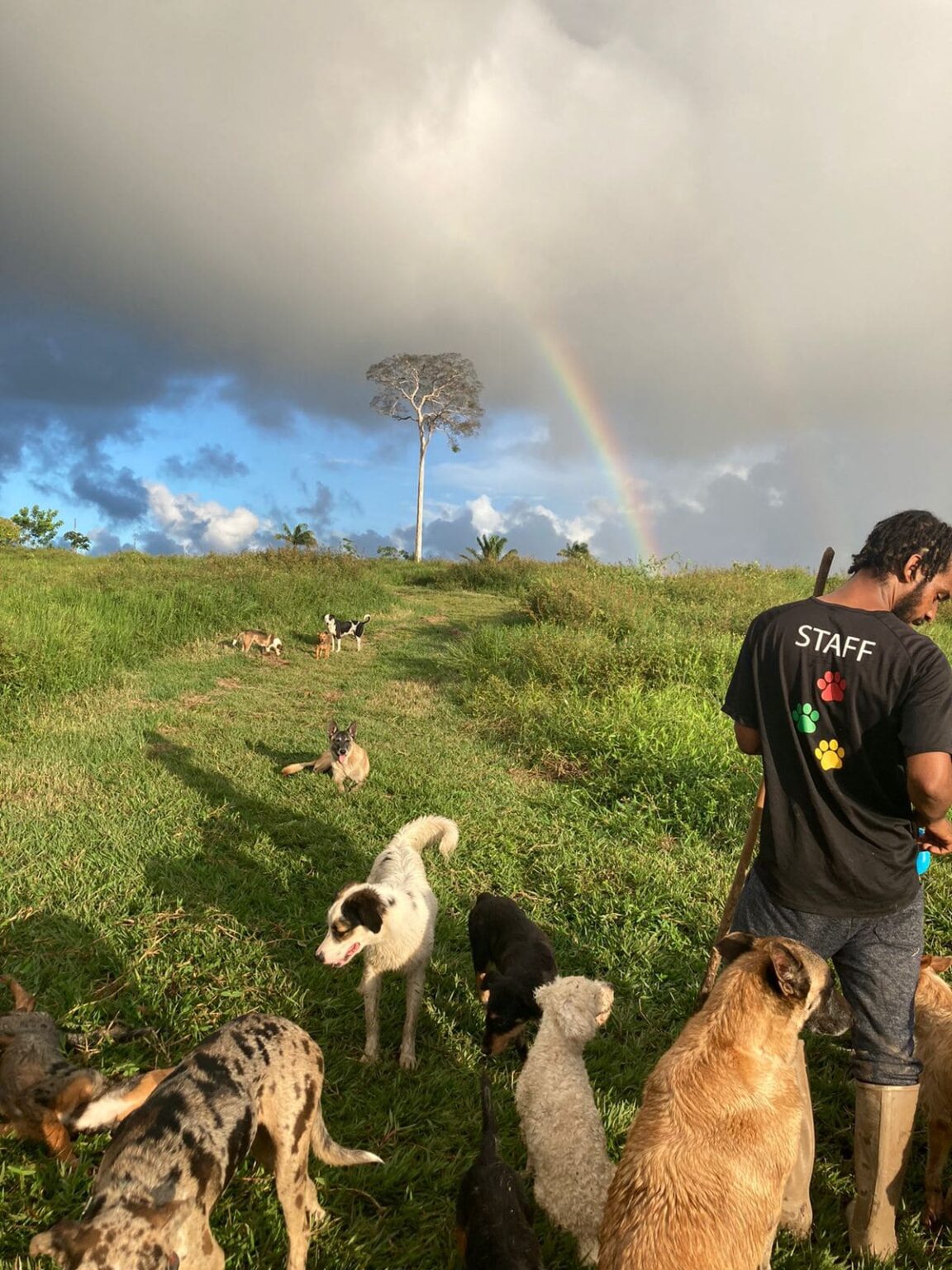 Doggy Oasis – International Guyane